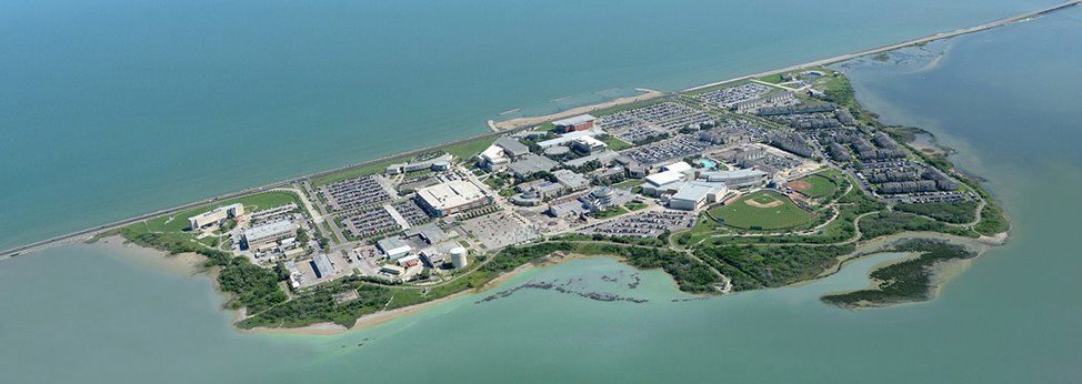 Alumni US | Texas A&M University-Corpus Christi, Corpus Christi, Texas Area